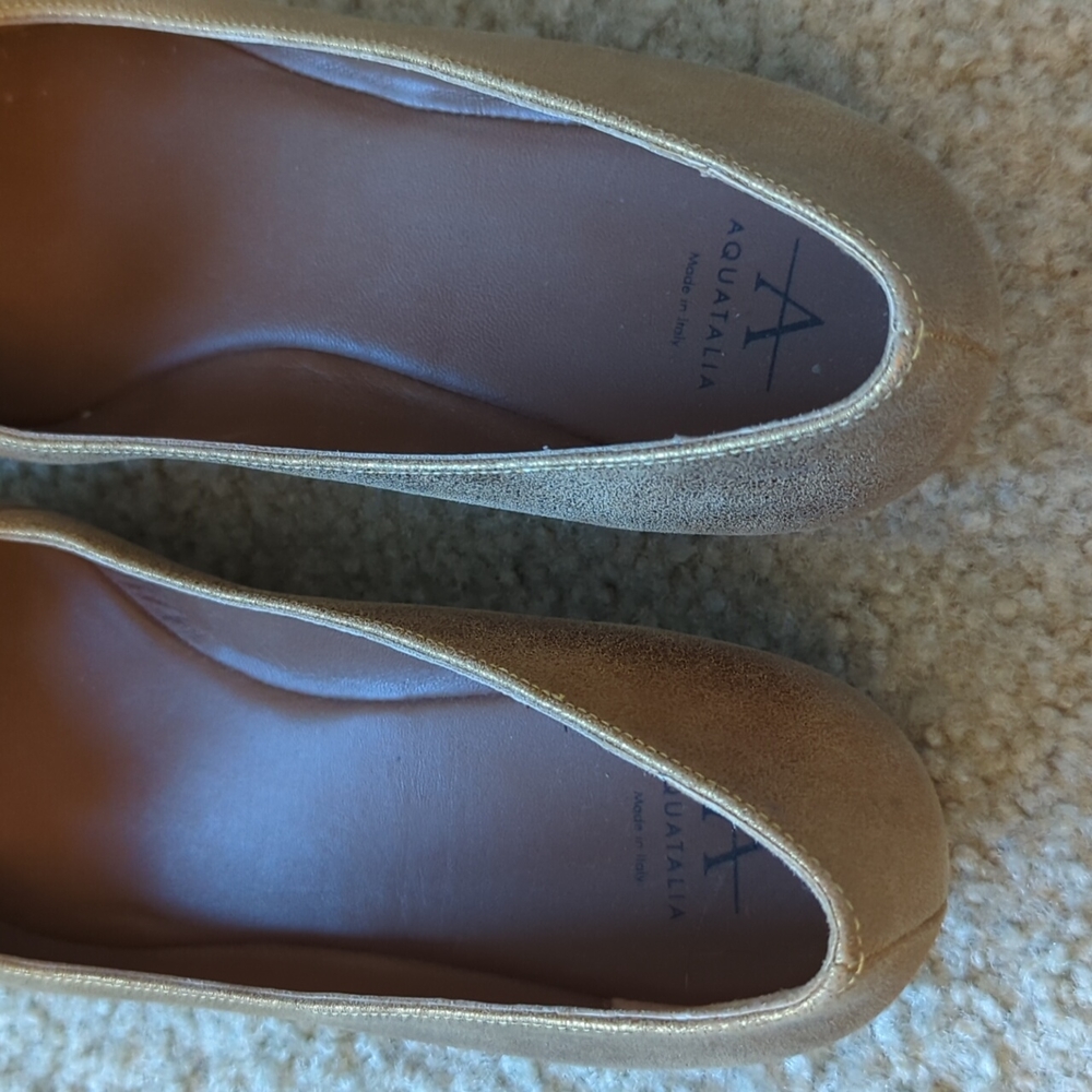 Aquatalia Pointy Ballet Flats - Gem